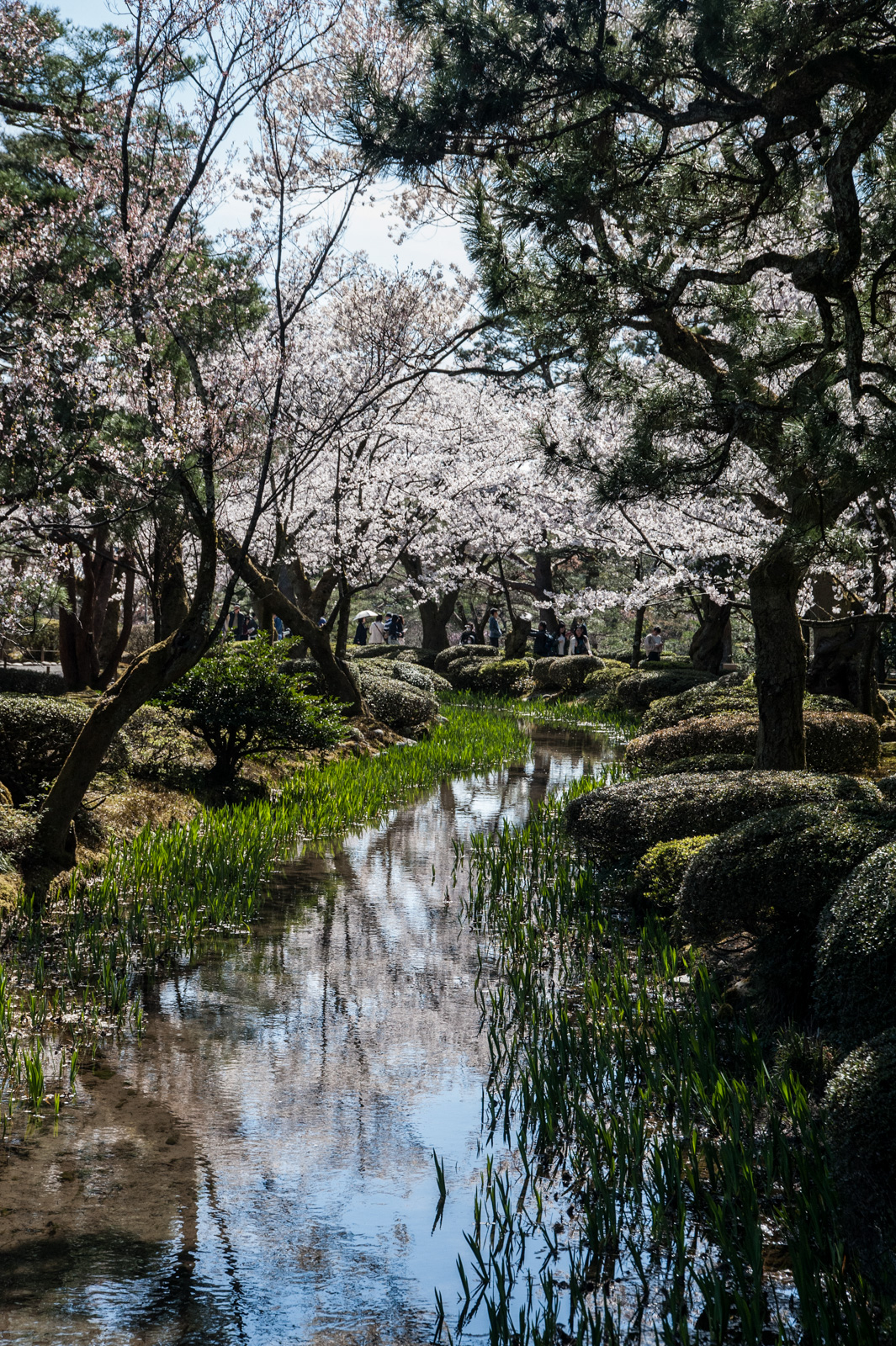 Kenroku-en - Kanazawa