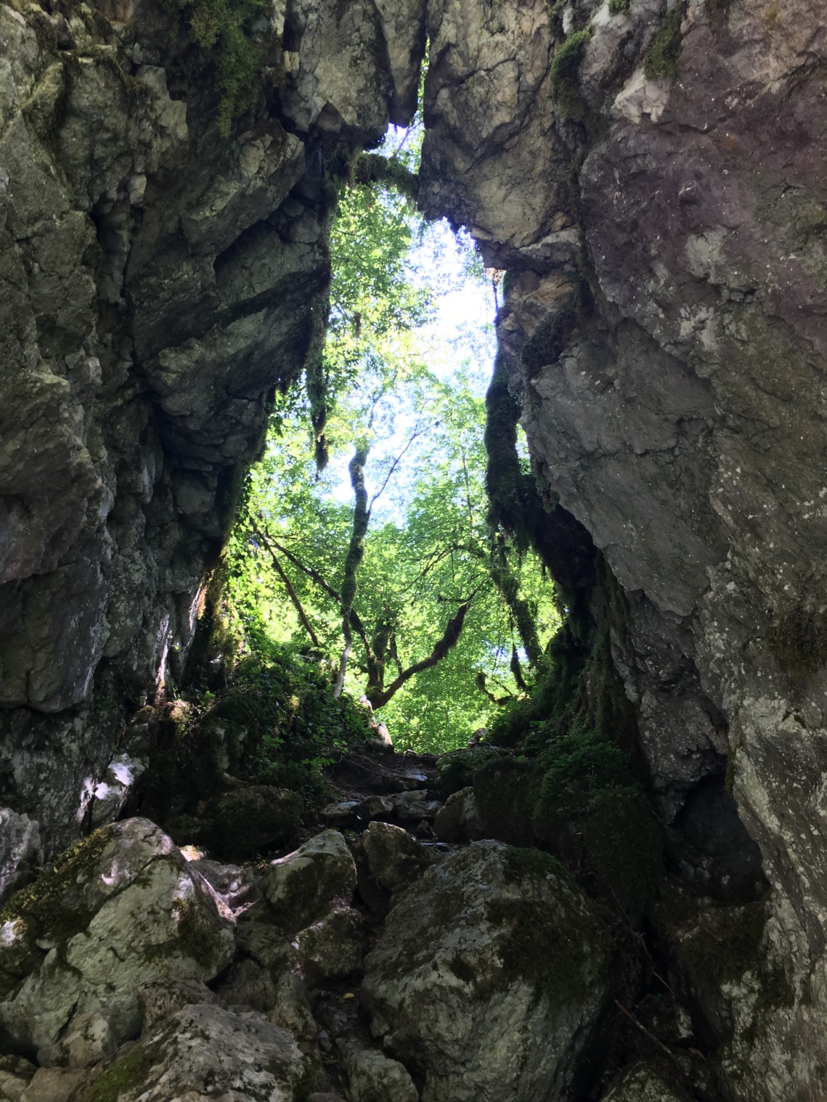 Kanjon rijeke Mrtvice