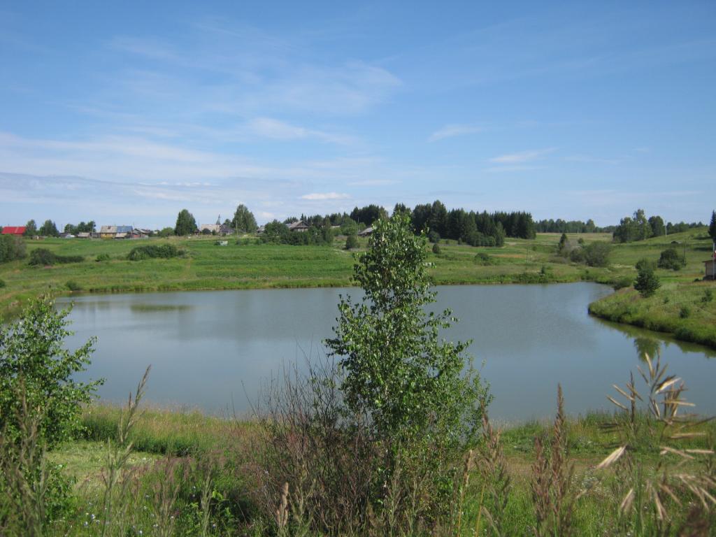 Pond - Бурмакино