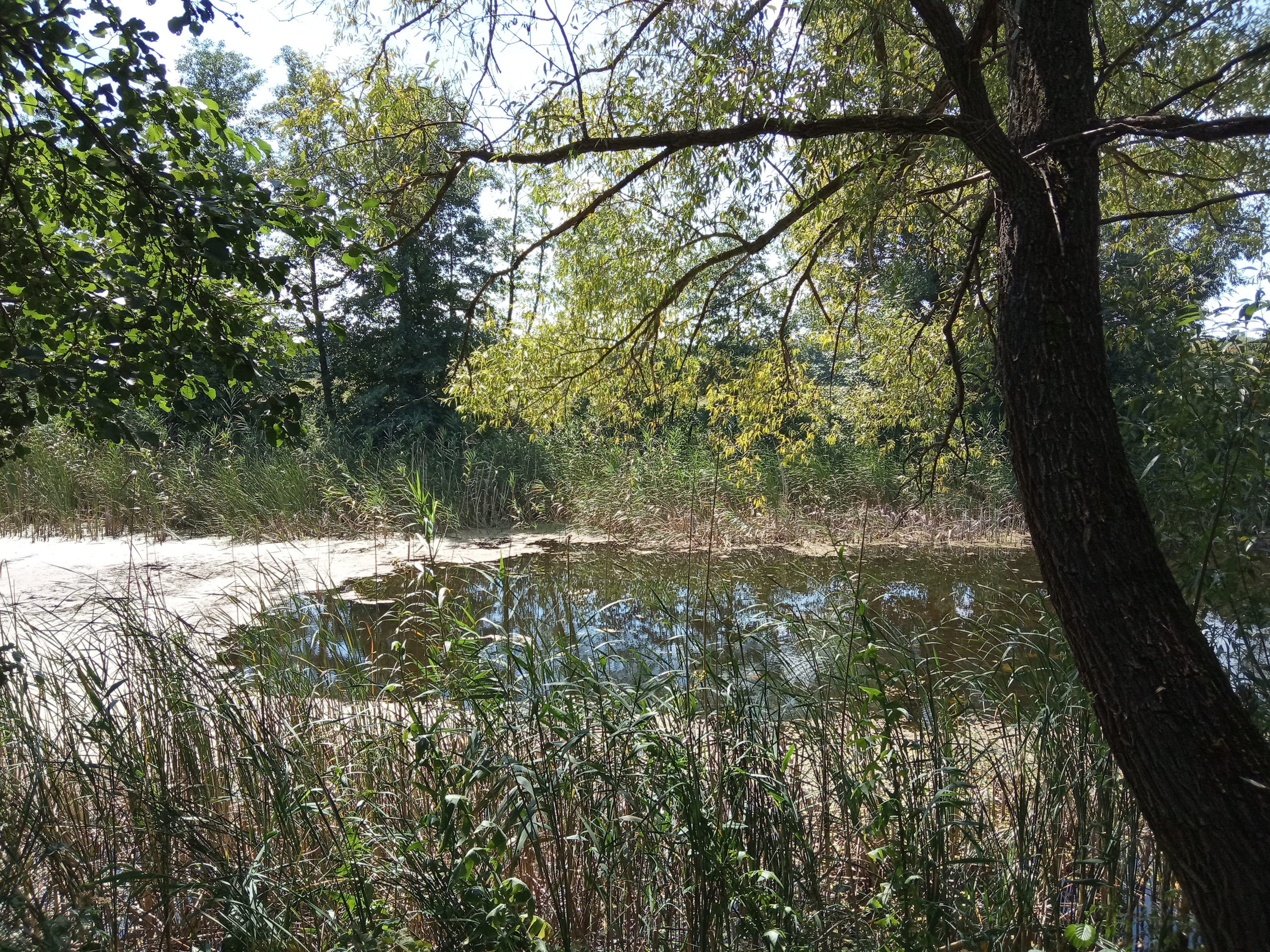 Lake - Korsun-Shevchenkivskyi