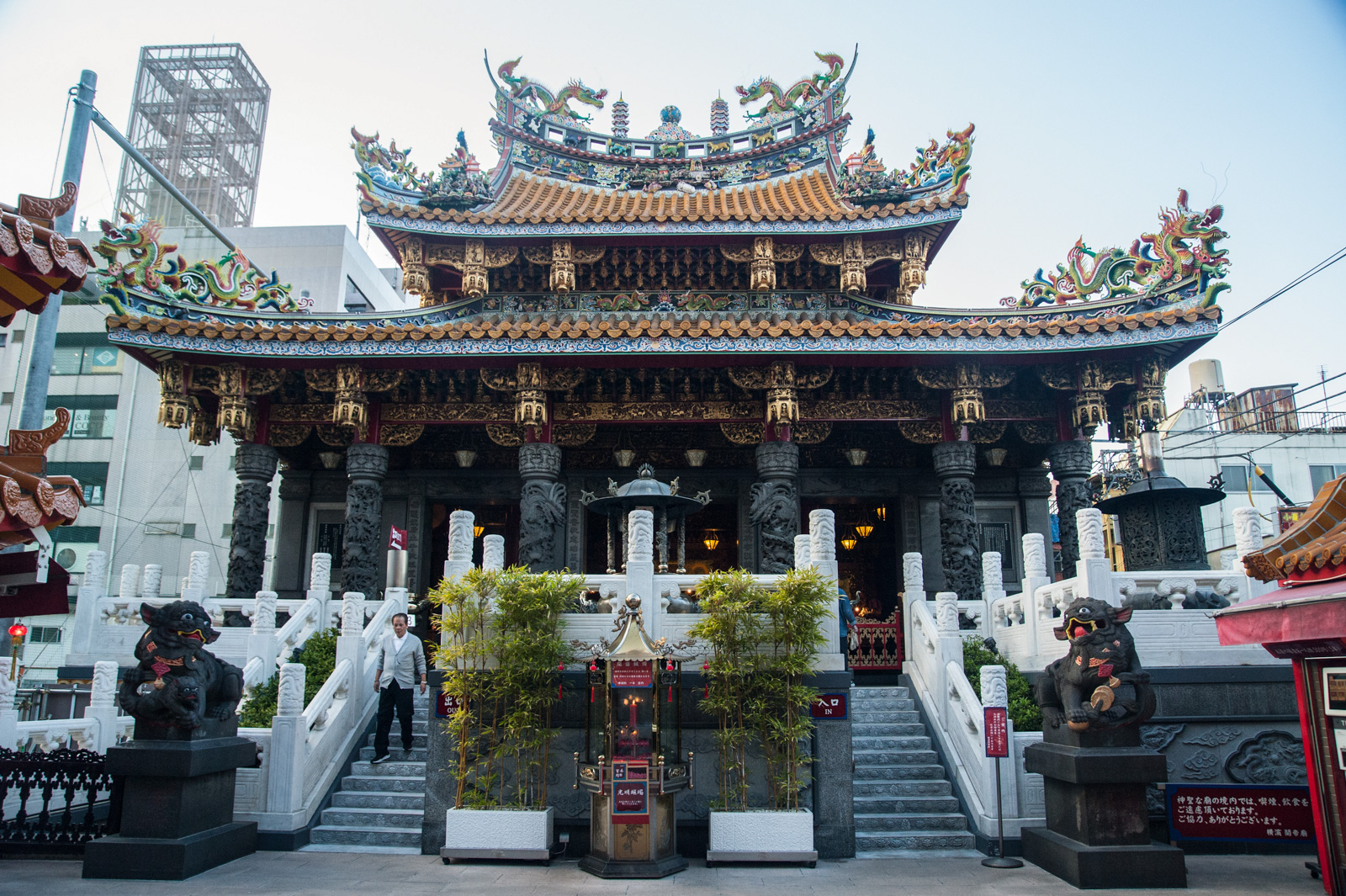 Yokohama Ma Zhu Miao - Yokohama