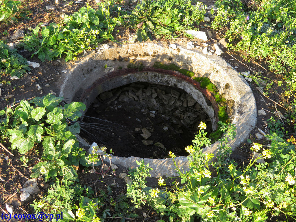 Ringstand 58c - Jaworznik