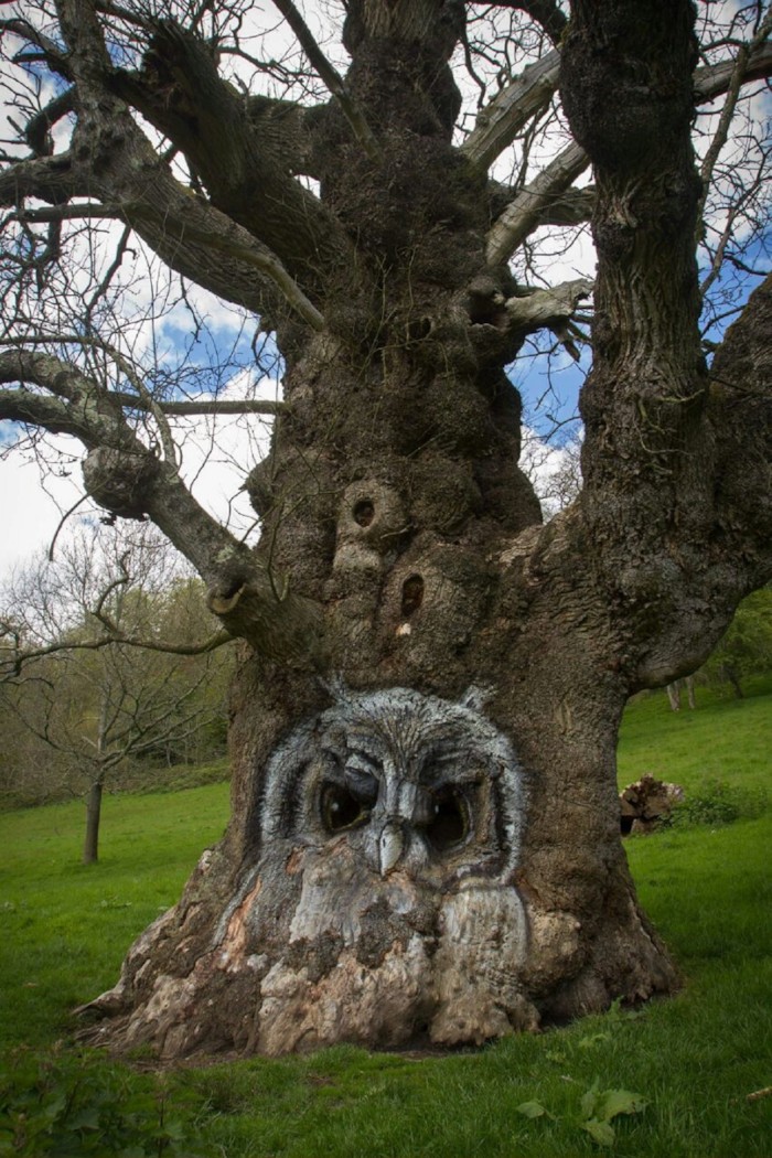 Owl Tree