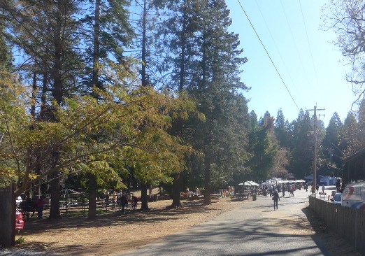 High Hill Ranch | orchard / fruit garden, tourist attraction