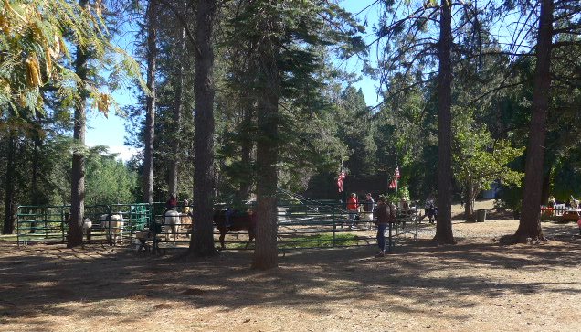 High Hill Ranch | orchard / fruit garden, tourist attraction