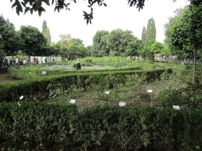Orti Farnesiani - Rome