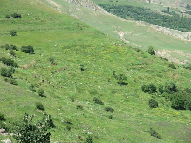 Ruins of Roketi