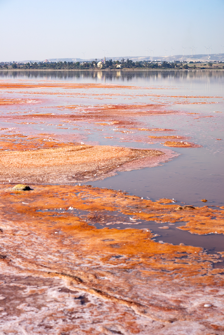 Larnaca Salt Lake