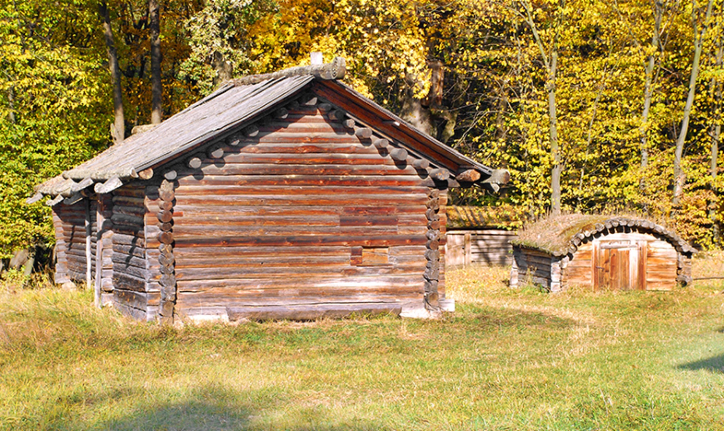 Peasant house - Kyiv