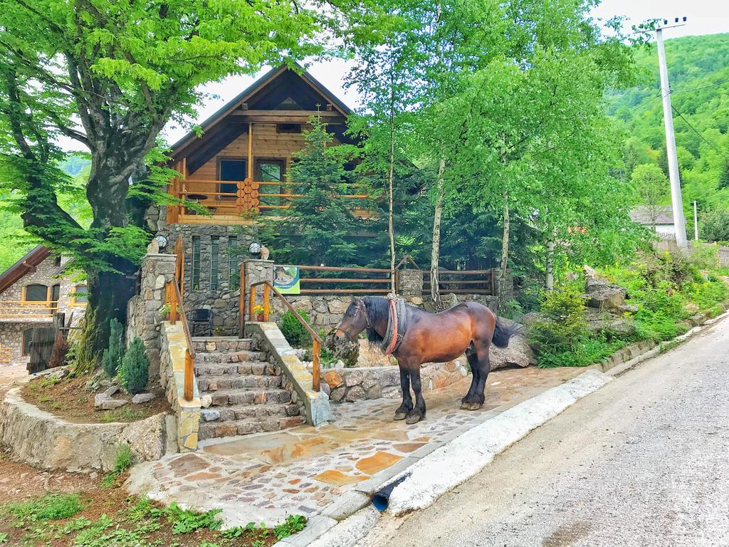 Villa Kujta Rugovë - Shtupeq i Madh
