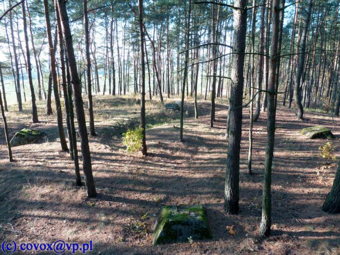 Suchy Las — Overview