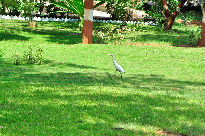 National Institute for Micro, Small and Medium Enterprises (ni-msme ...