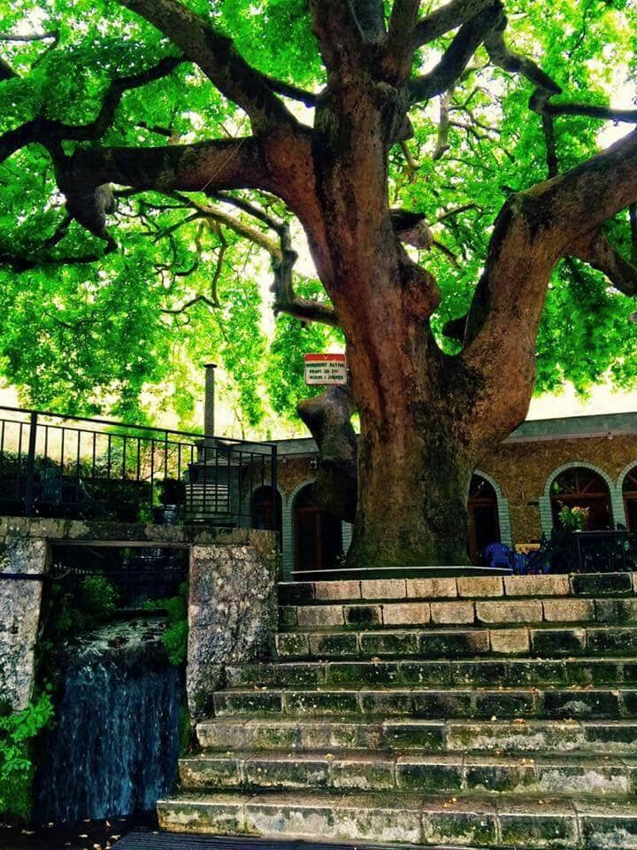 Rrapi i Libohovës - Libohovë (English)