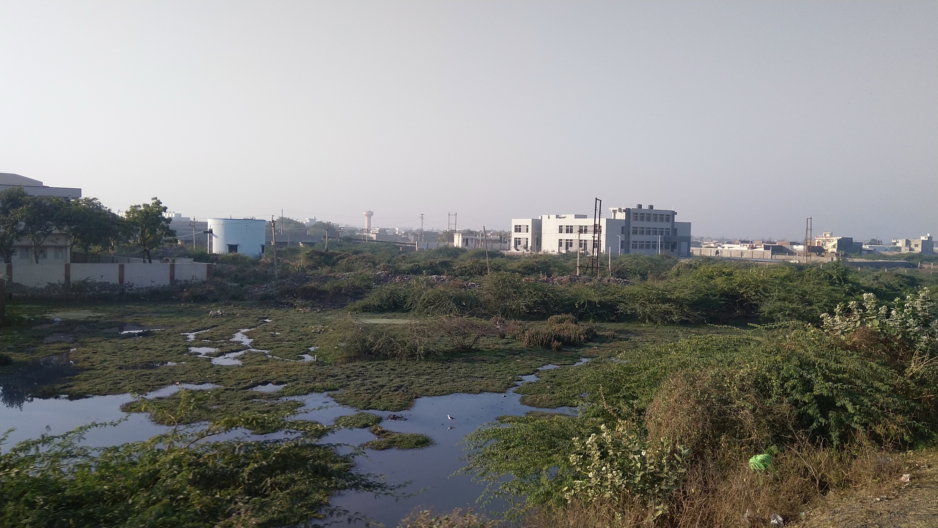 Thangadh new court - Thangadh