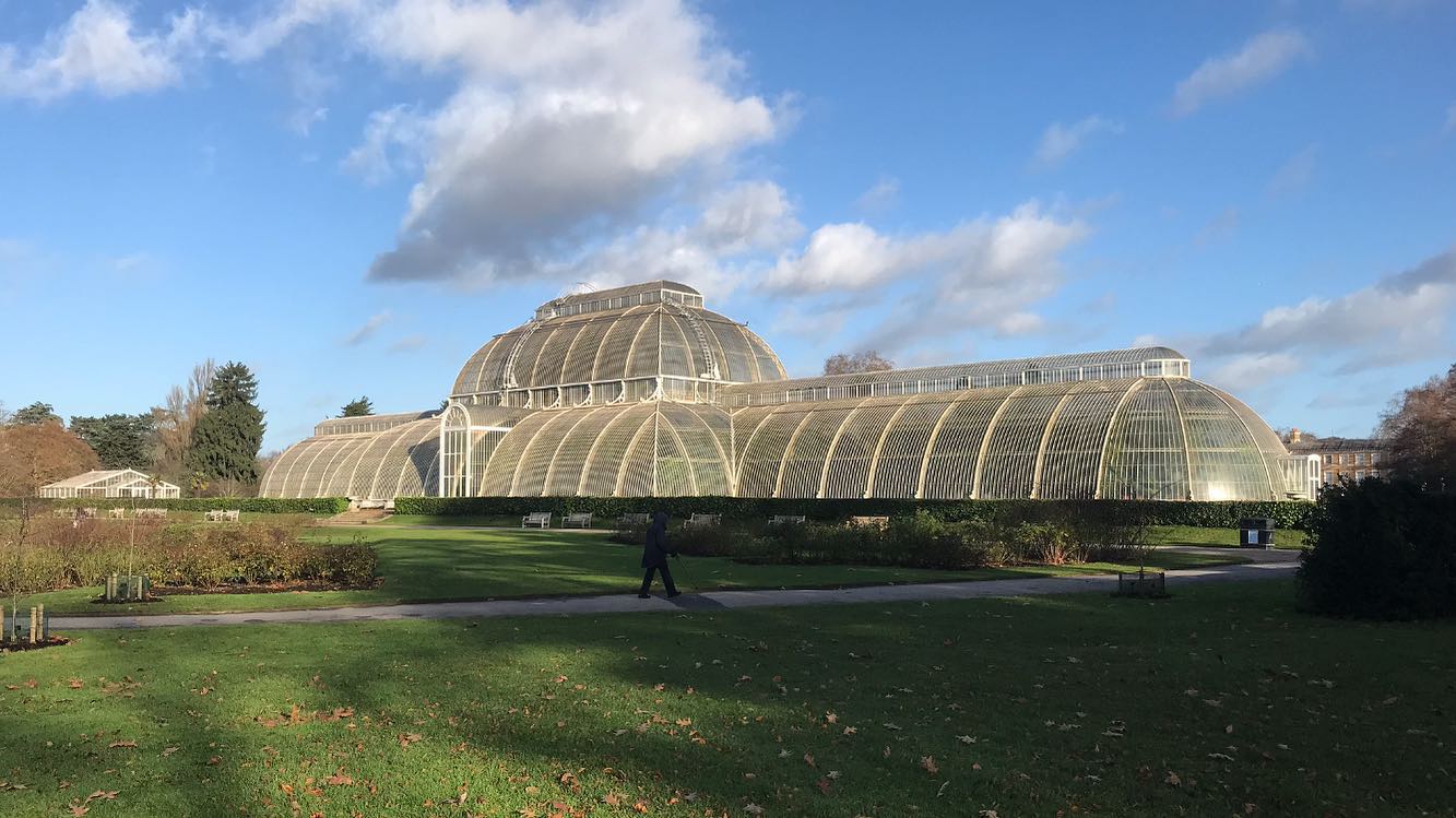 Palm House