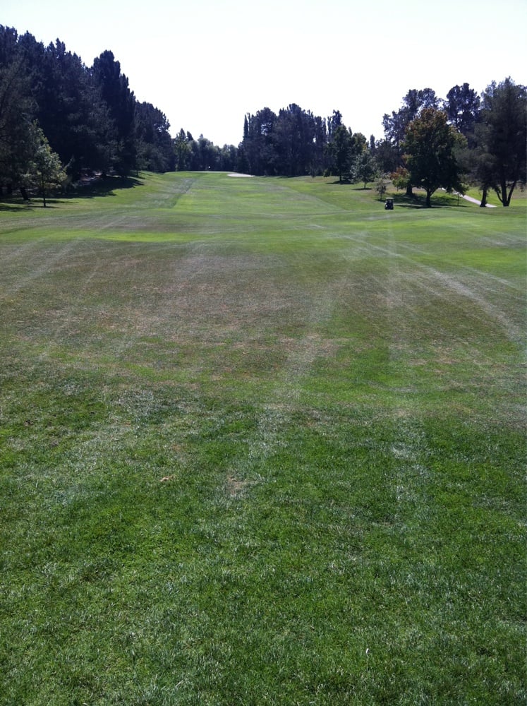 Napa Golf Course - Napa, California