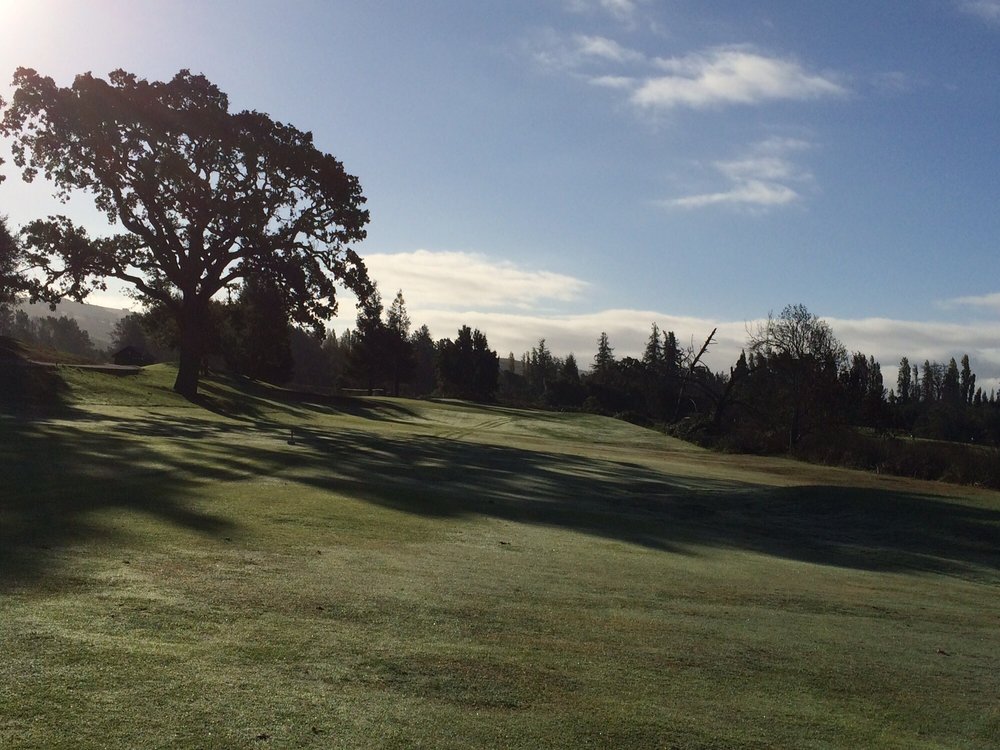 Napa Golf Course - Napa, California