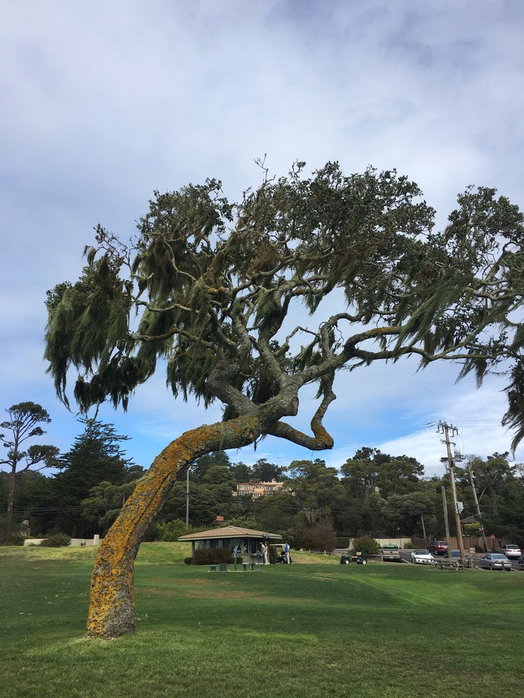 Peter Hay Golf Course