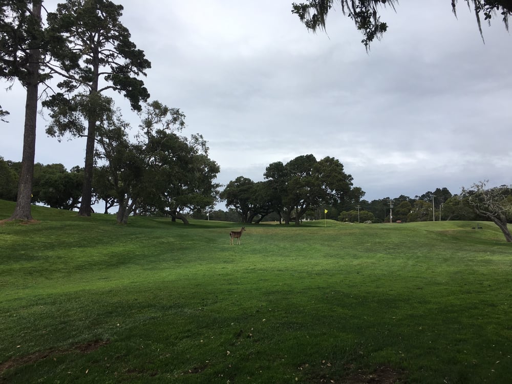Peter Hay Golf Course