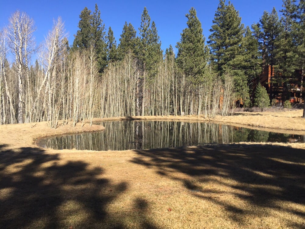 The Golf Club at Gray’s Crossing | golf course