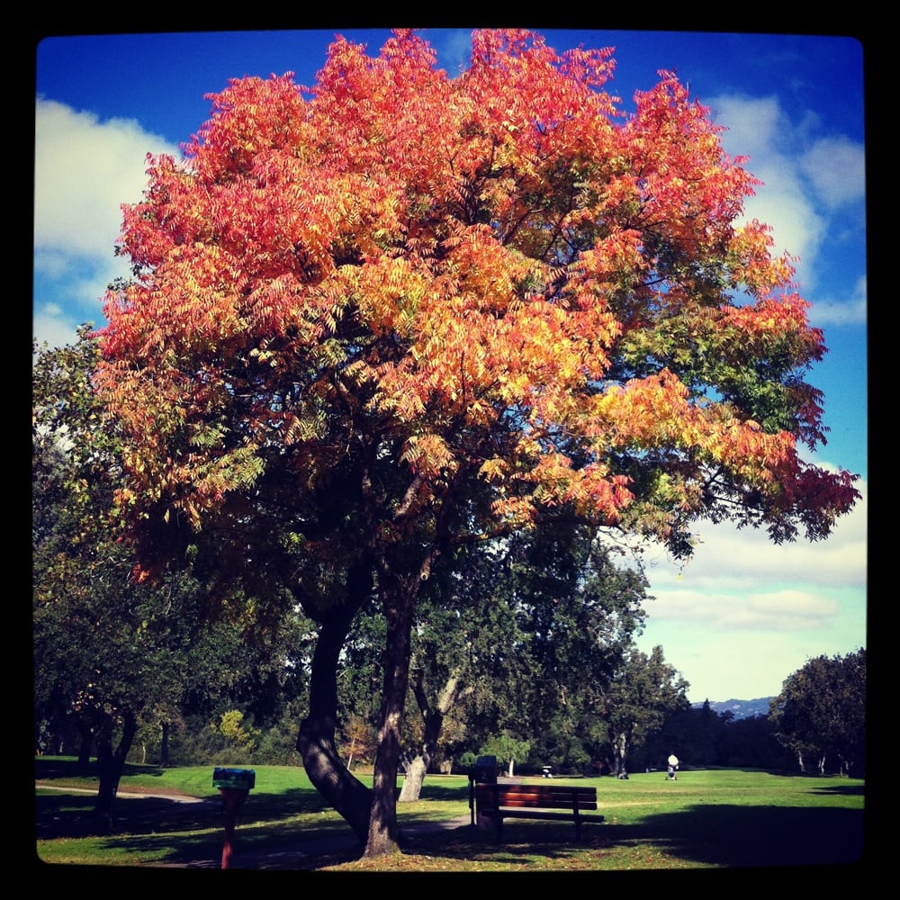 Bennett Valley Golf Course - Santa Rosa, California