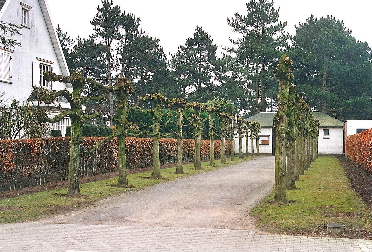 Municipal Cemetery