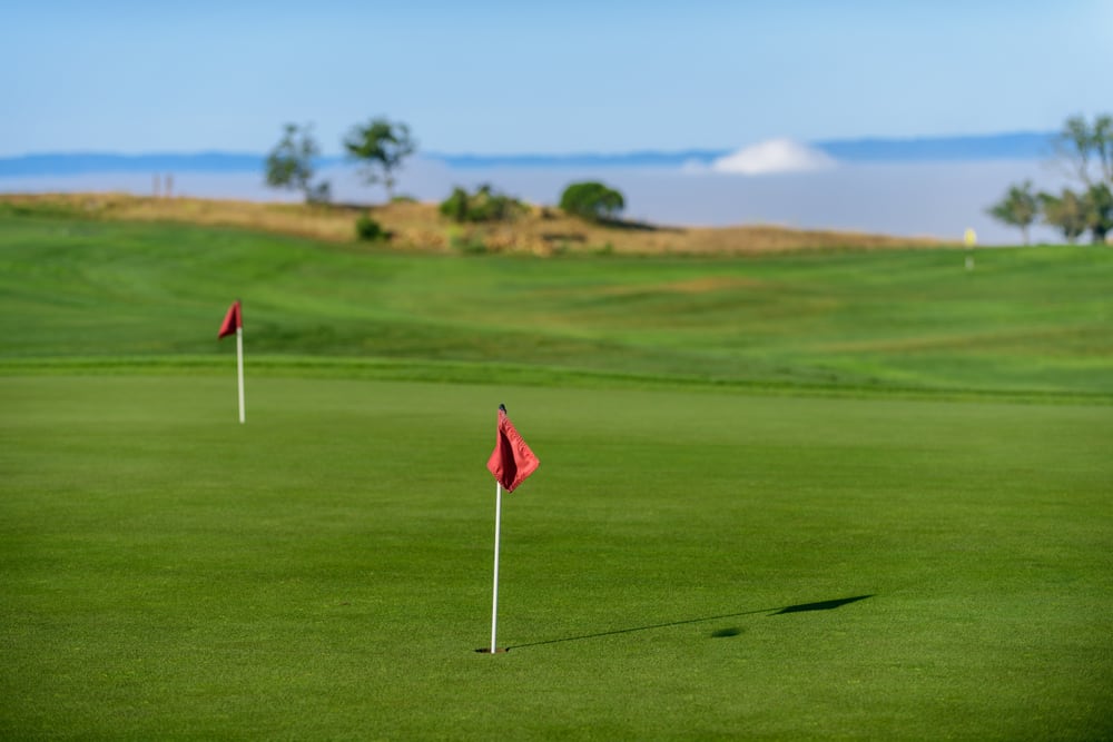 TPC Stonebrae Country Club