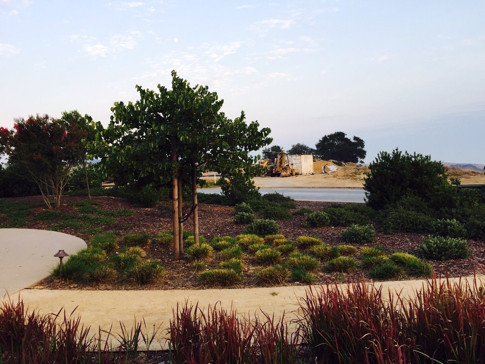 TPC Stonebrae Country Club