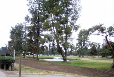 Fig Garden Golf Course - Fresno, California