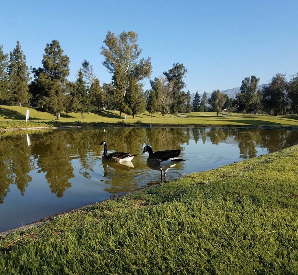 Harding Municipal Golf Course - Los Angeles, California