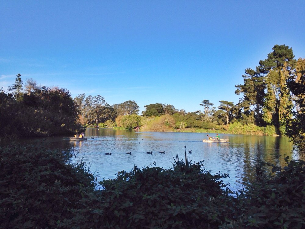 Stow Lake Strawberry Hill - San Francisco, California