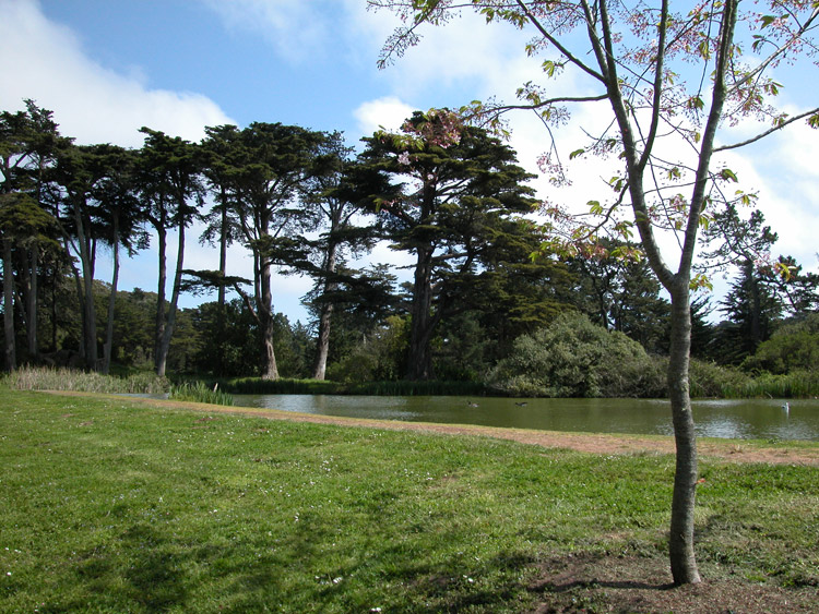 Metson Lake - San Francisco, California