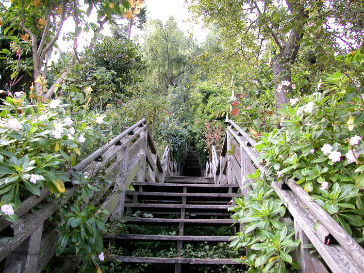 Filbert Steps - San Francisco, California