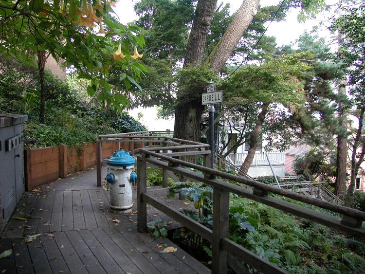 Filbert Steps - San Francisco, California