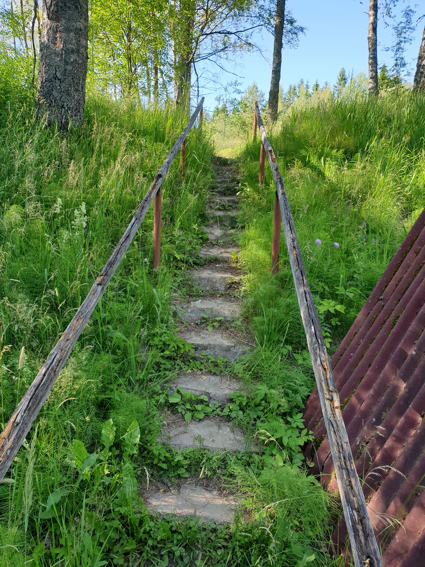 Water springs - Saint Petersburg