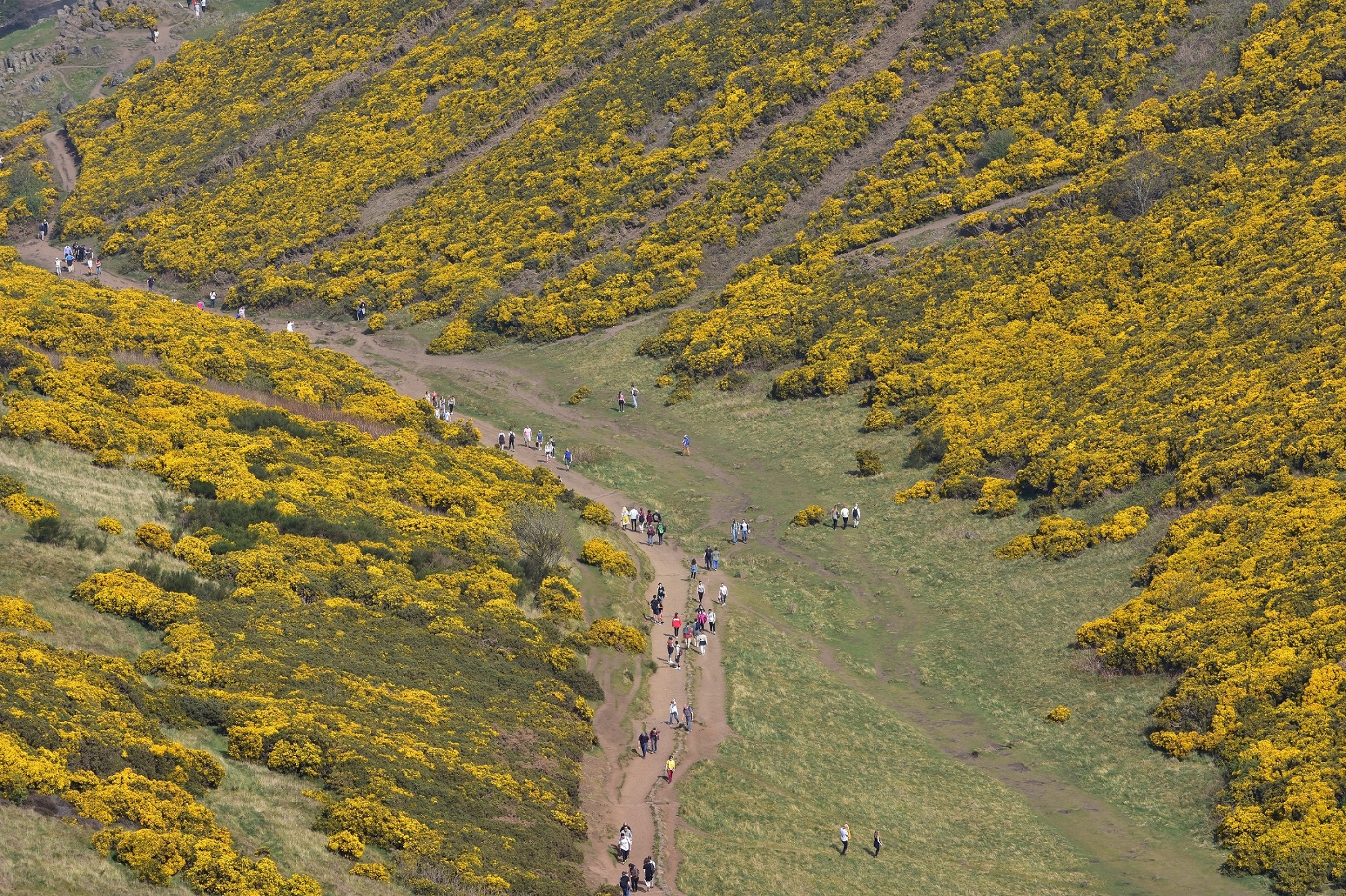 Holyrood Park - Edinburgh