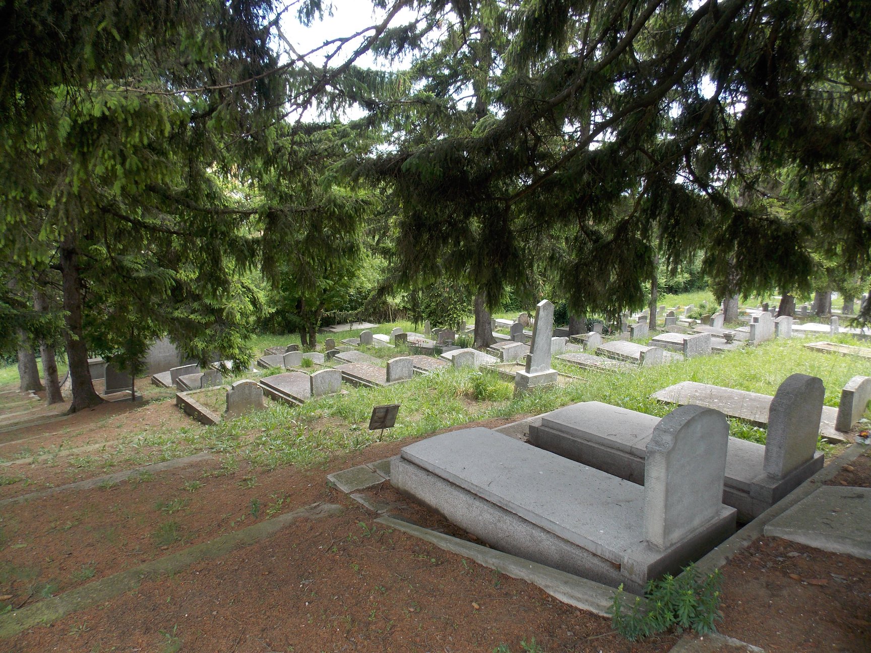 Lutheran Cemetery - Şura Mare