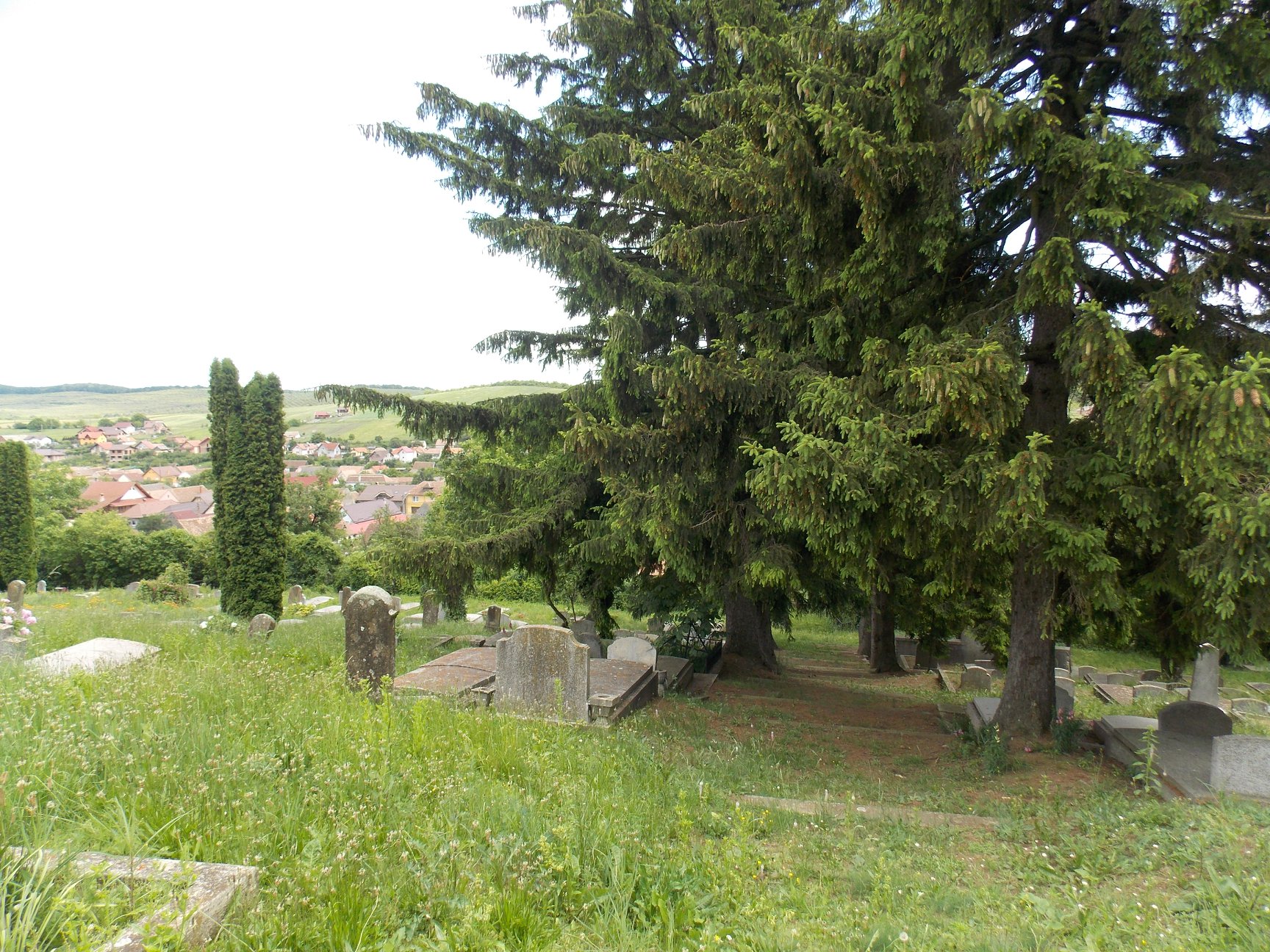 Lutheran Cemetery - Şura Mare