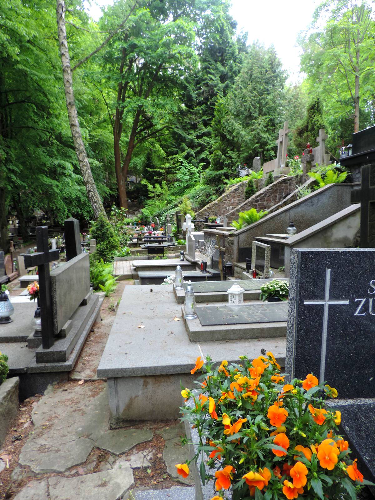 Katholische Friedhof - Sopot