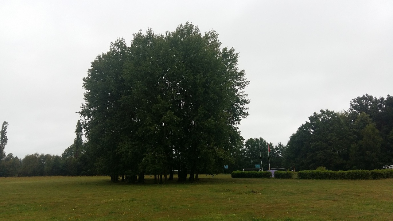 Children health camp "Parechcha"