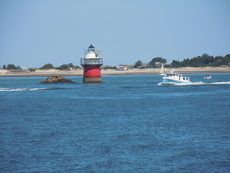 Bug Light