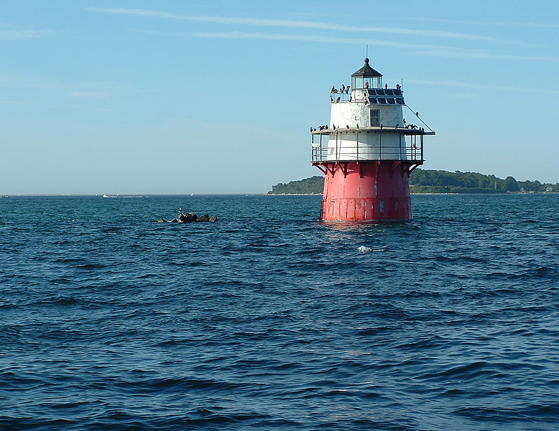 Bug Light