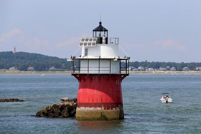 Bug Light