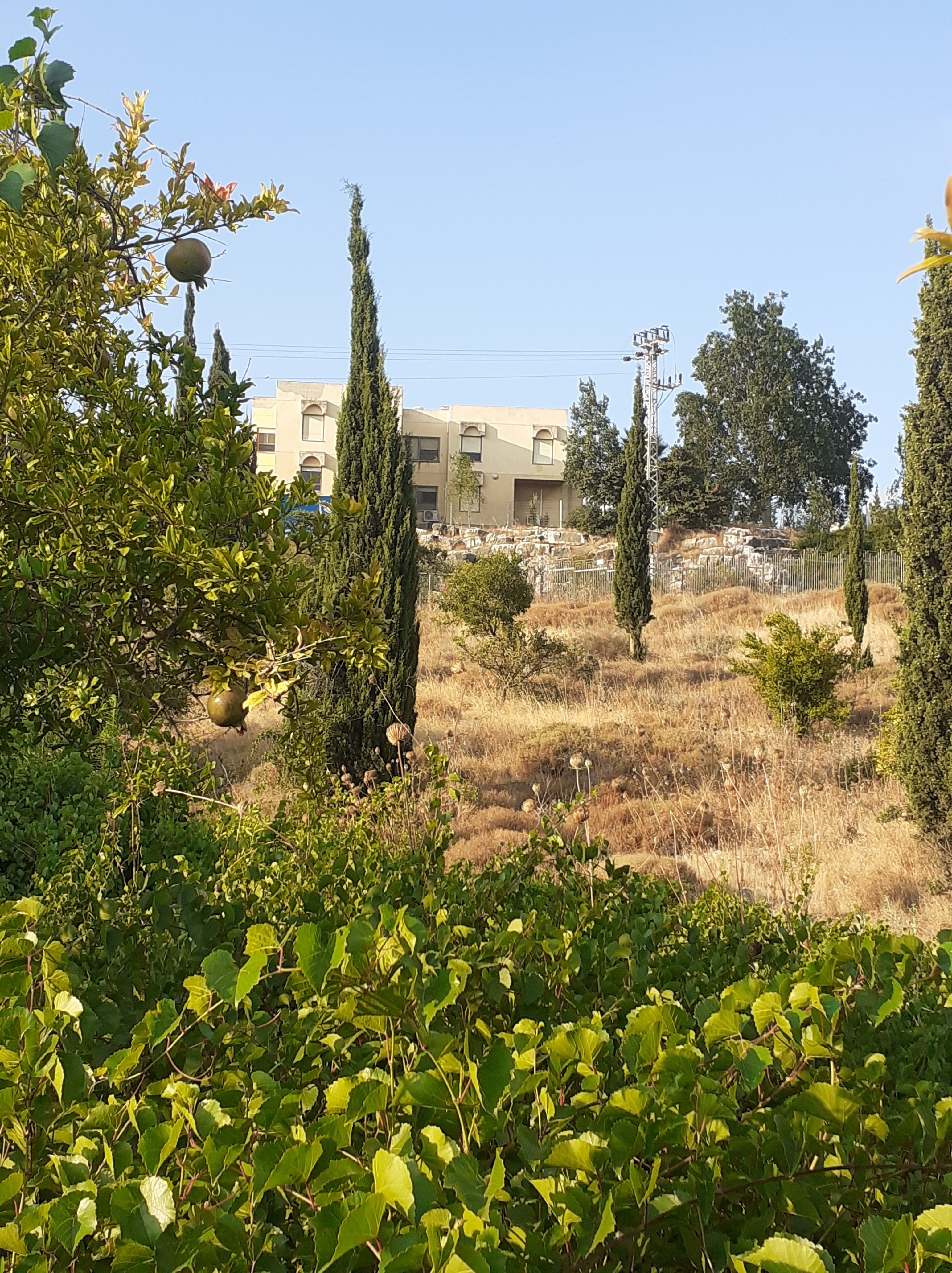 Building A7 - Karmiel | campus