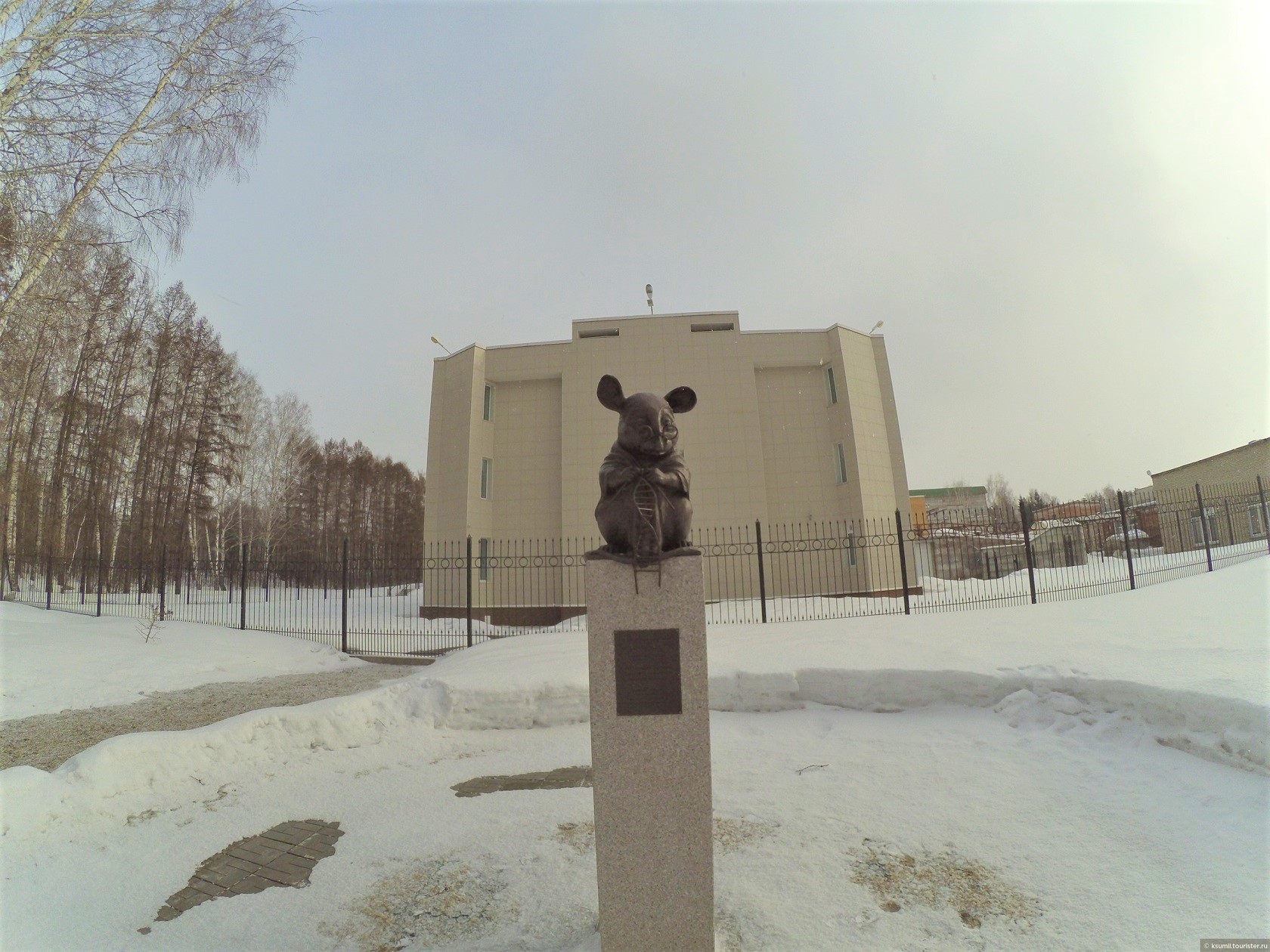 Monument to the laboratory mouse "The Mouse knitting a DNA double helix ...