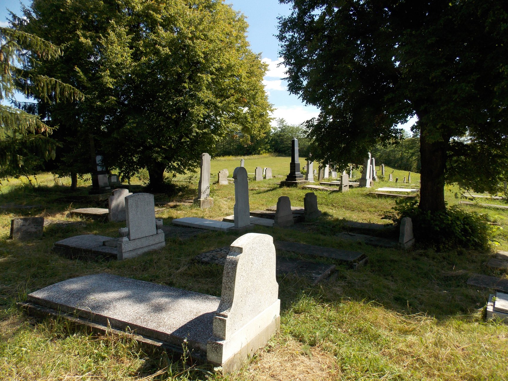 Lutheran cemetery - Vurpăr | green area, Roman Catholic cemetery