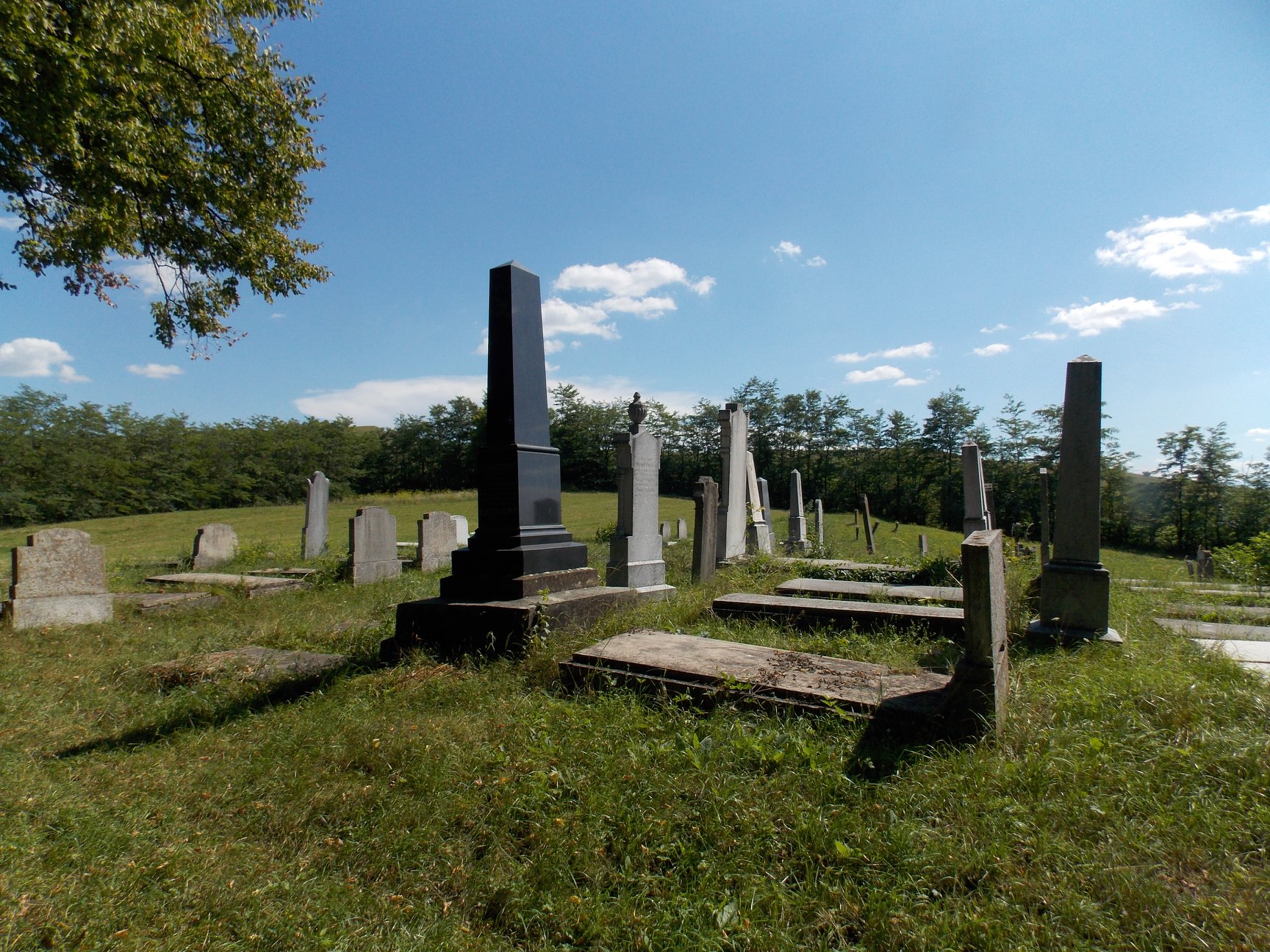 Lutheran cemetery - Vurpăr | green area, Roman Catholic cemetery