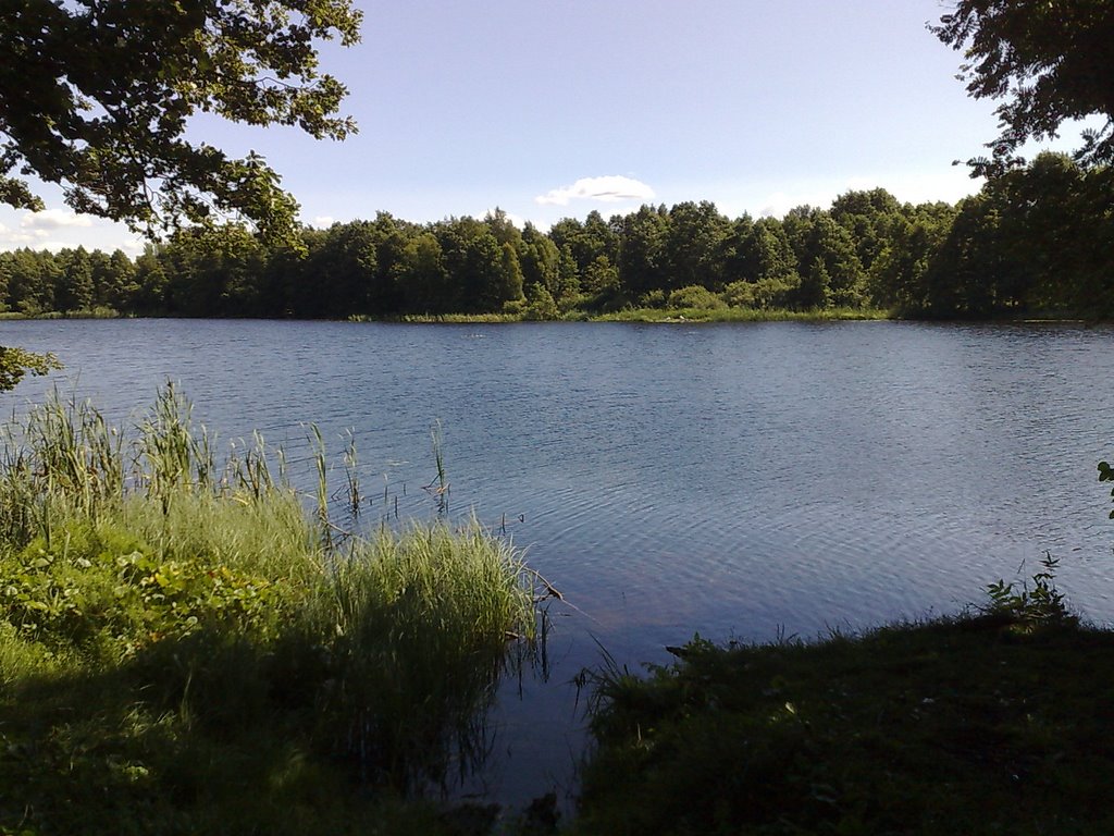 Klooga järv - Klooga