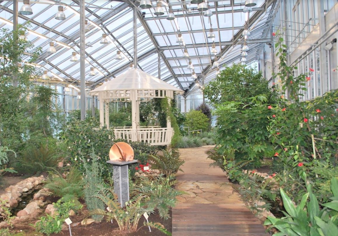 Tallinnan kasvitieteellinen puutarha - Tallinna