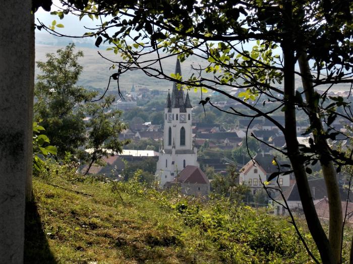 Cetatea Greavilor - Donjonul romanic - Gârbova